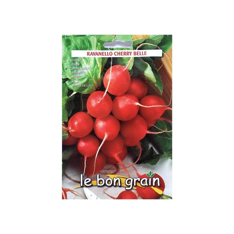 Seminte de Ridichi de Luna, Cherry Belle, 13 g, Raci Sementi Oferta ...