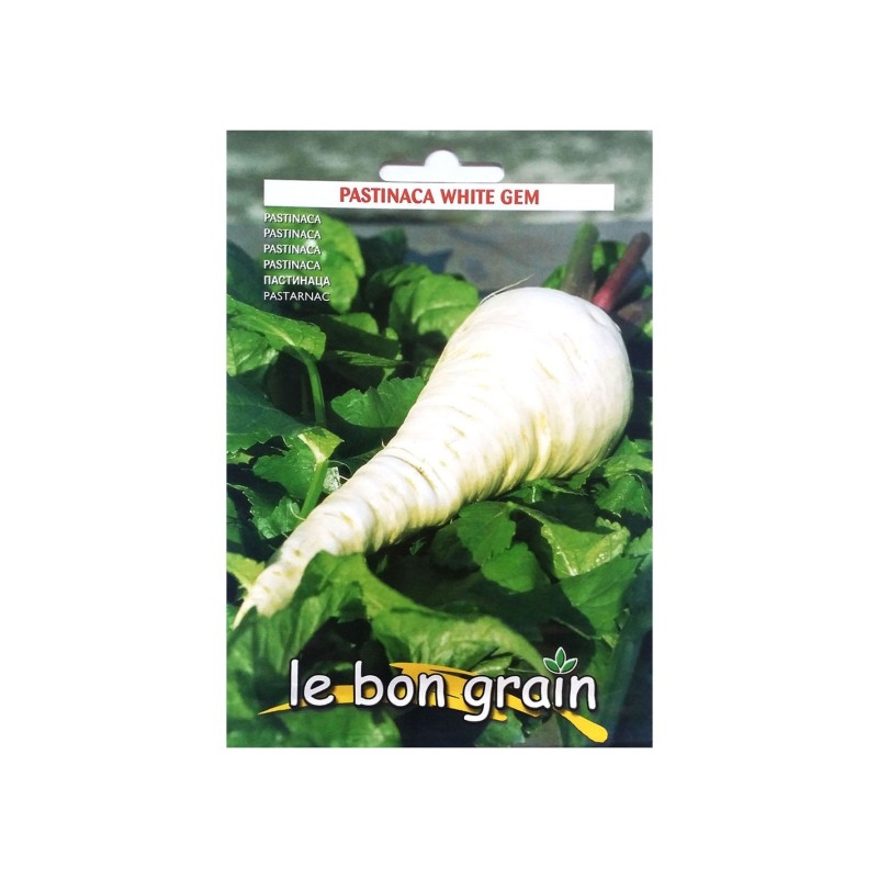 Set 2 x Seminte de Pastarnac, White Gem, 100 g, Raci Sementi Oferta ...