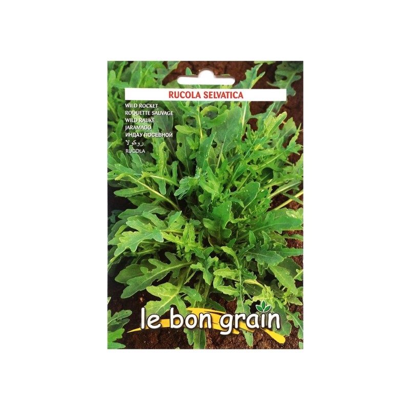 Set 4 x Seminte de Rucola Salbatica, 3 g, Raci Sementi Oferta Pret ...