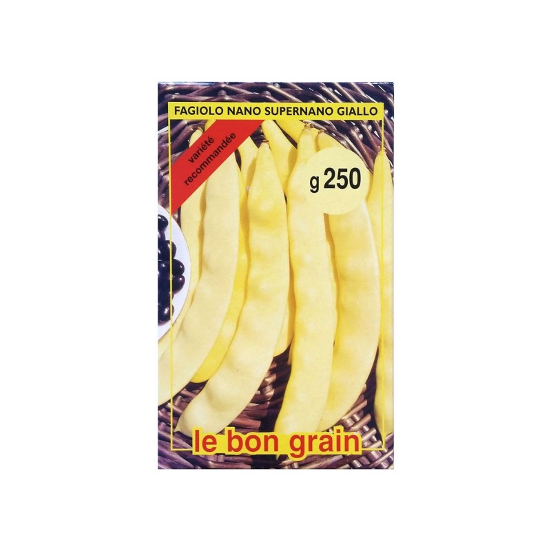 Set 2 x Seminte de Fasole Galbena Lata, Supernano, 250 g, Raci Sementi ...