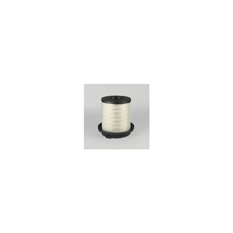 Filtru aer Donaldson P781465 pentru Hifi Filter SA17222 Oferta Pret ...